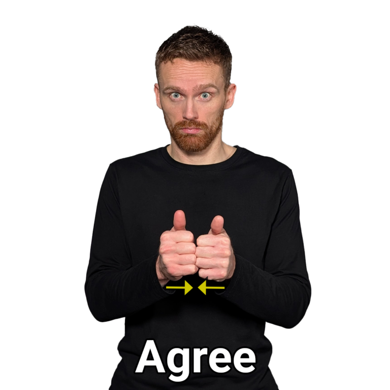 Questions - Commanding Hands